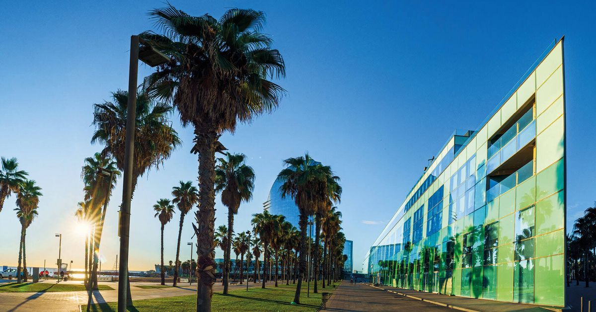 Inner Flow Barcelona: Fitnessstudio mit Meerblick und ganzheitlichem ...