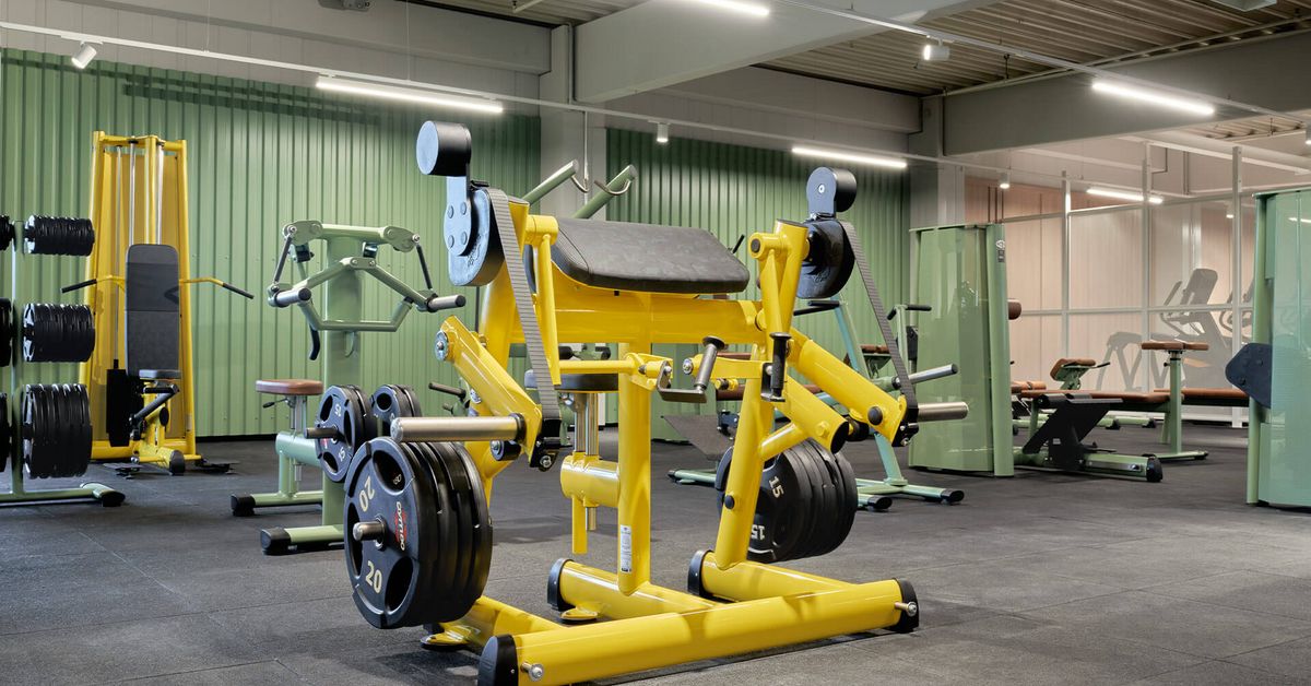 McFIT eröffnet in Hamburg das erste Studio im neuen Look | BODYMEDIA ...